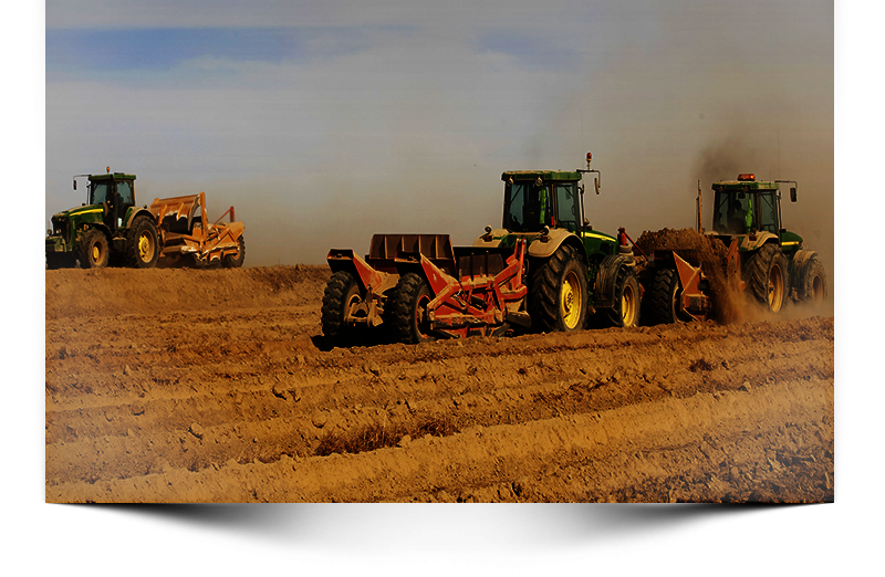 Home Page Background – STRIDE Collaborative