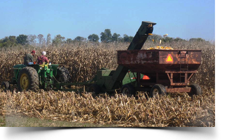 non – STRIDE Collaborative